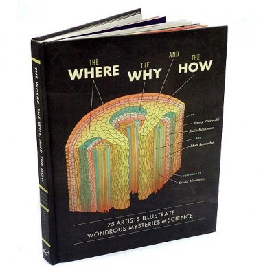 Book Trailer: "The Where, The Why, and the How"