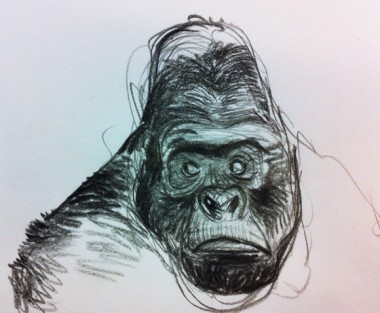 Artist of the Day: Chris Sanders