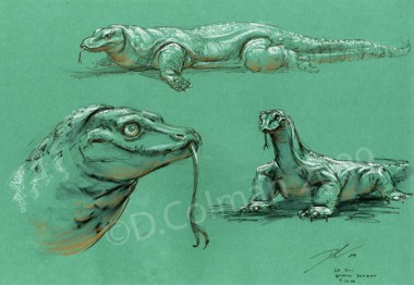 Artist of the Day: David Colman