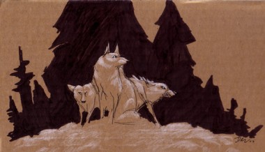 Artist of the Day: David Colman