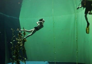 Animation Oscar Nominations: Full Coverage