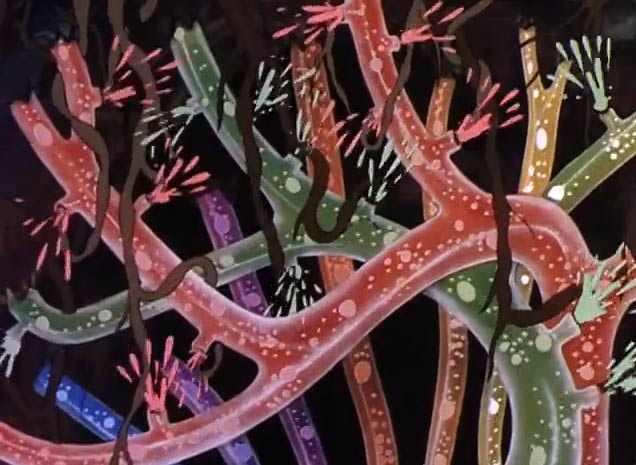 'To Spring' Is The Weirdest Cartoon Ever Made About Springtime