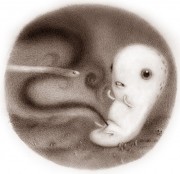 Artist of the Day: Renée French