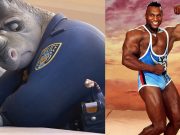 Zootopia Archives | Cartoon Brew