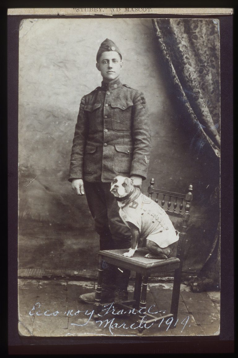 'Sgt. Stubby: An American Hero' Aims For A Different Look And Feel In U ...