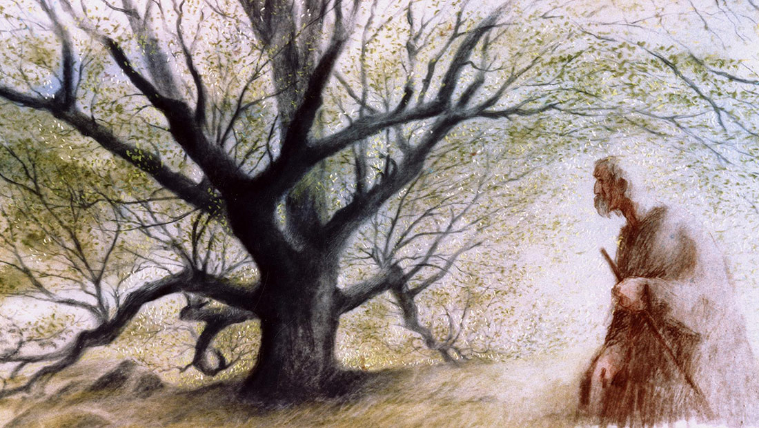 RIP Lina Gagnon, Animator Who Worked On 'The Man Who Planted Trees'