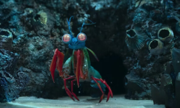 Cartoon Springboard 2022: 4 Pitches That Stood Out