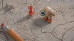 'Marcel The Shell With Shoes On' Wins Best Animated Feature From New ...