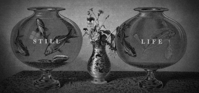 'Still Life,' An Enchanting Experiment In Replacement Animation By ...