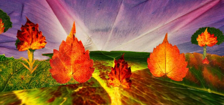 Brett Foxwell's 'LeafPresser' Is A Stunning Example Of Replacement ...