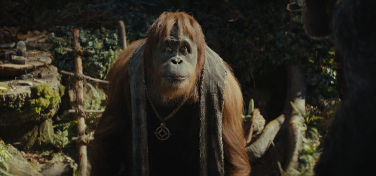 VES Awards: 'The Wild Robot' Dominates Animation Side; 'Kingdom Of The ...