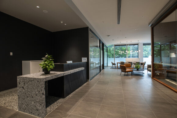 Australia's Cosmic Dino Opens New Studio As It Begins Work On 'Bluey ...