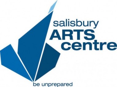 Salisbury Arts Centre Launches Open 2011: Animation