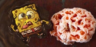 Meet the new Fungus named after Spongebob!